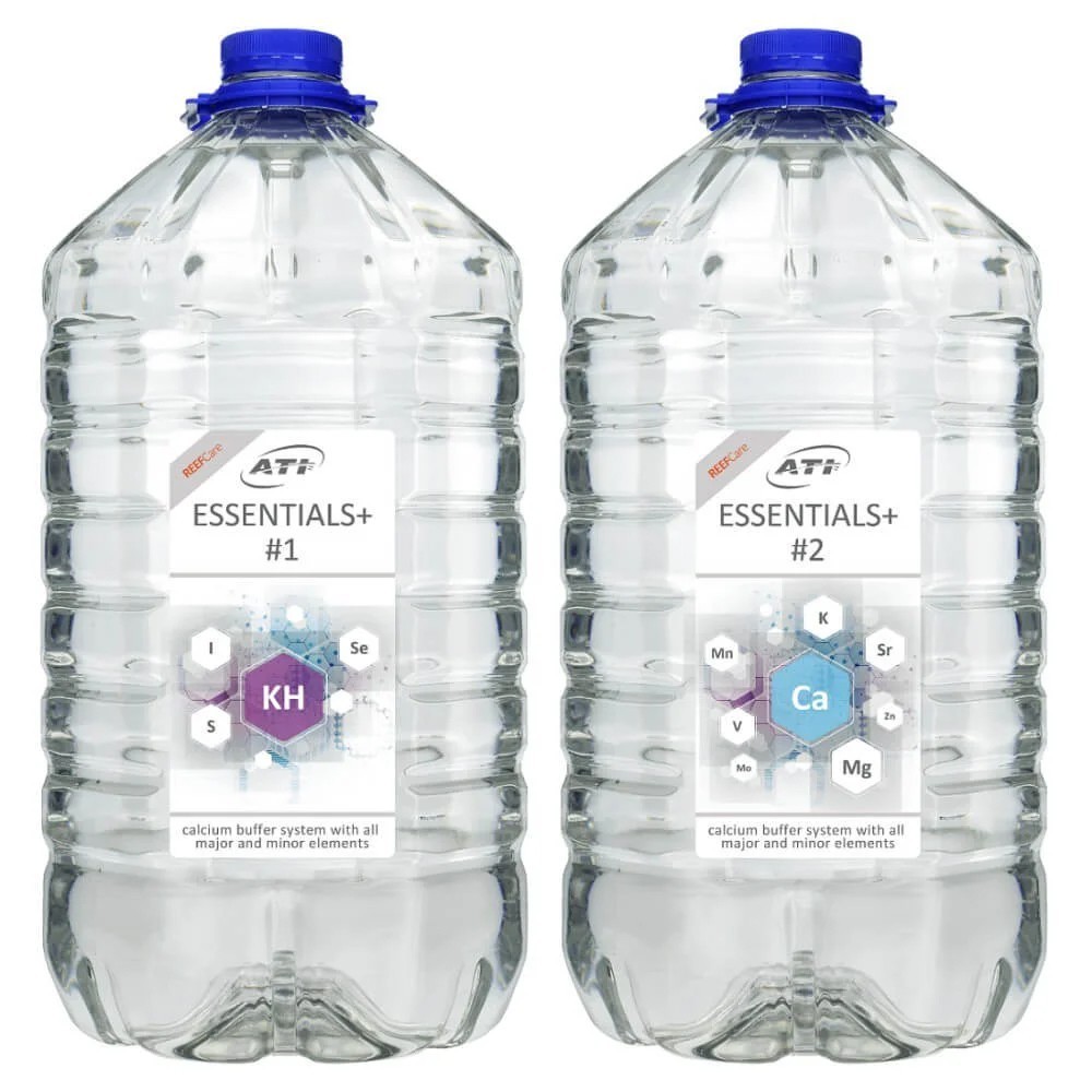 ATI - Essentials+ - calcium buffer system